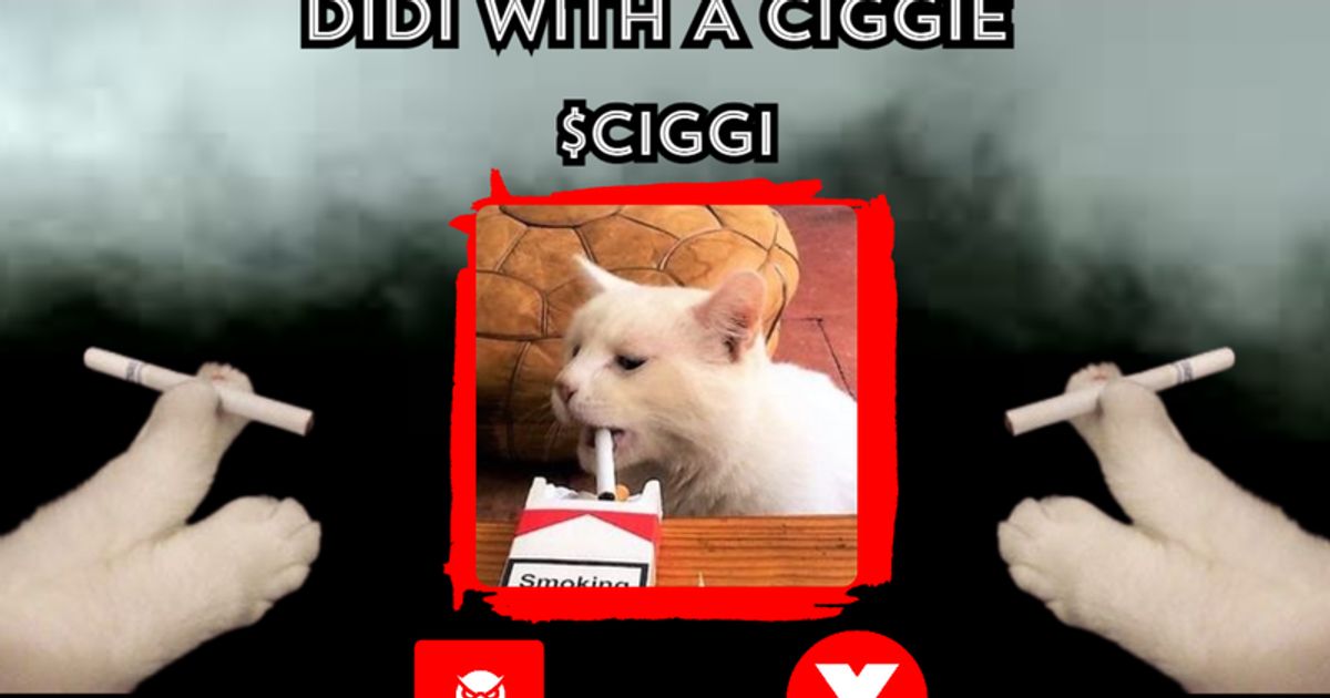 Didi with CIGGI